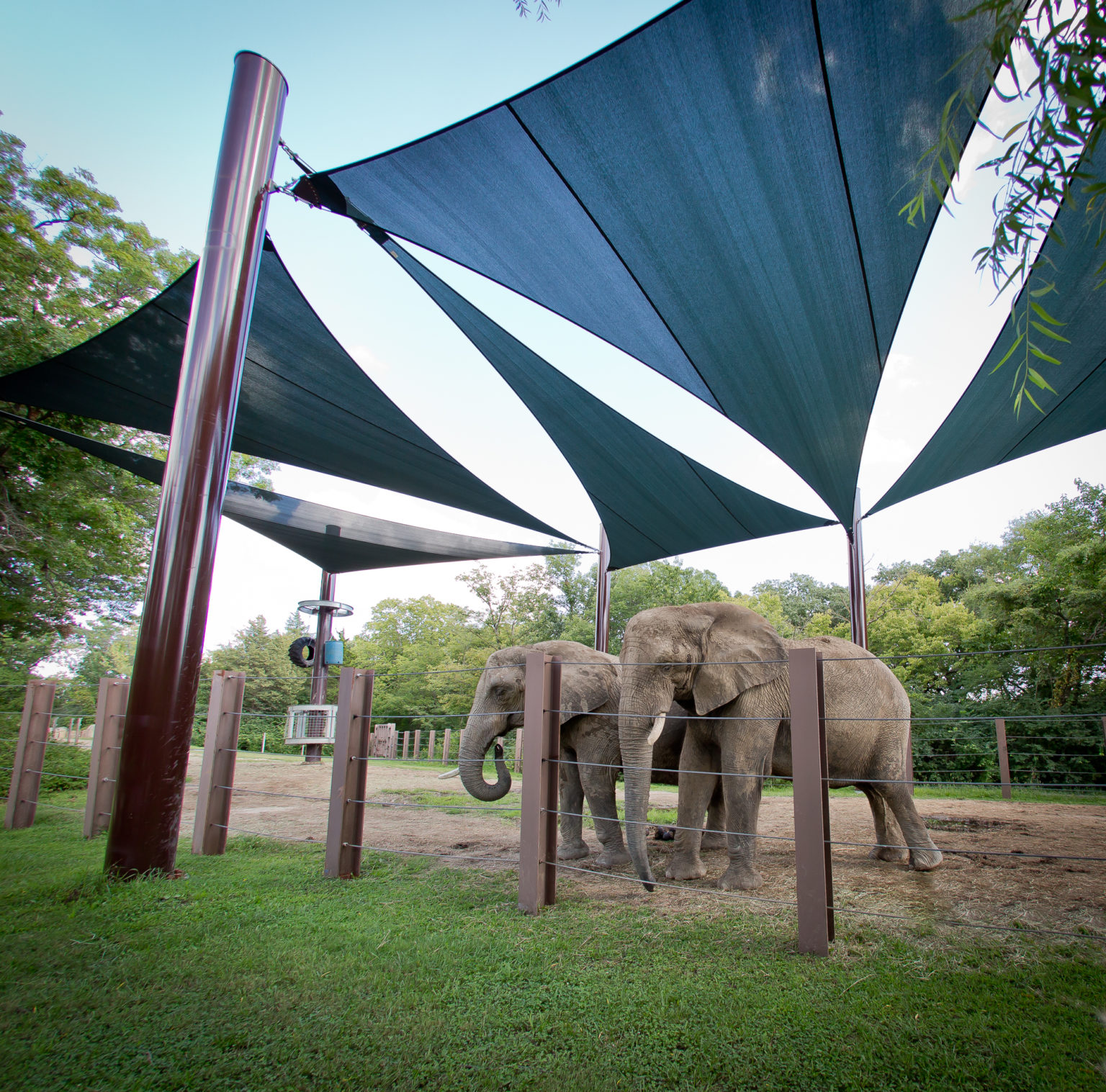 Elephant Shade Structure, Kansas City Zoo - MegaKC
